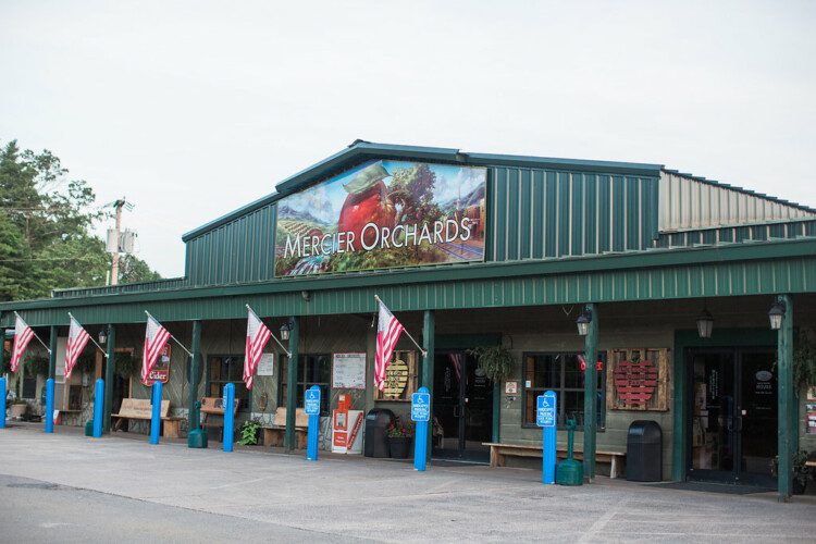 Mercier Orchards - Kicking Back Cabin